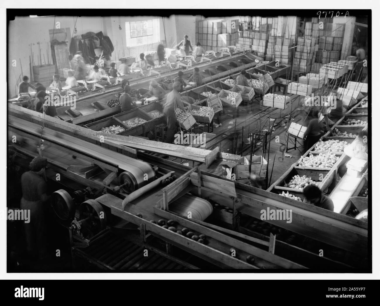 Sorting packing Black and White Stock Photos & Images - Alamy