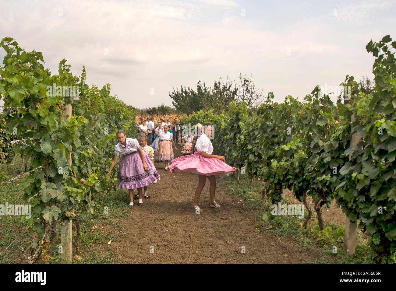ARADAC, SERBIA, September 07, 2019. Playing girls in the vineyard ...