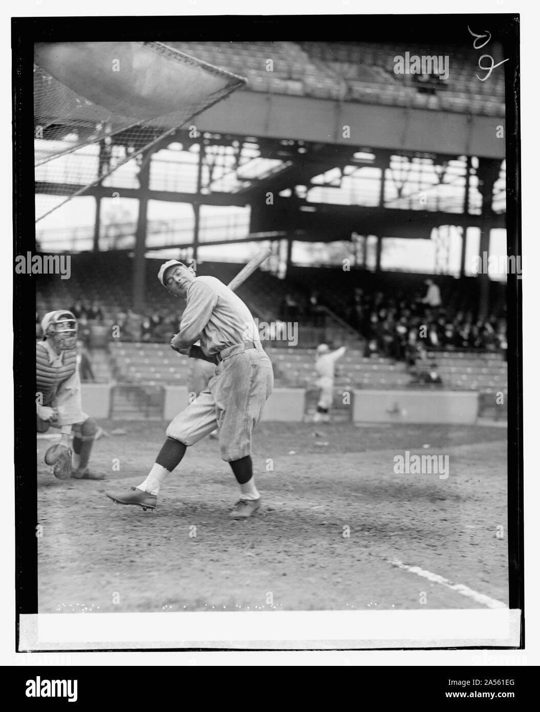 Veach Cut Out Stock Images & Pictures - Alamy