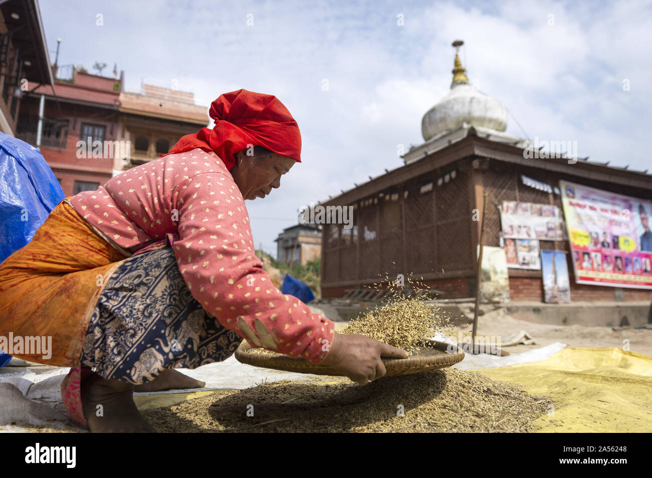 Lalitpur, Nepal. 18th Oct, 2019. A woman cleans rice to dry under the ...