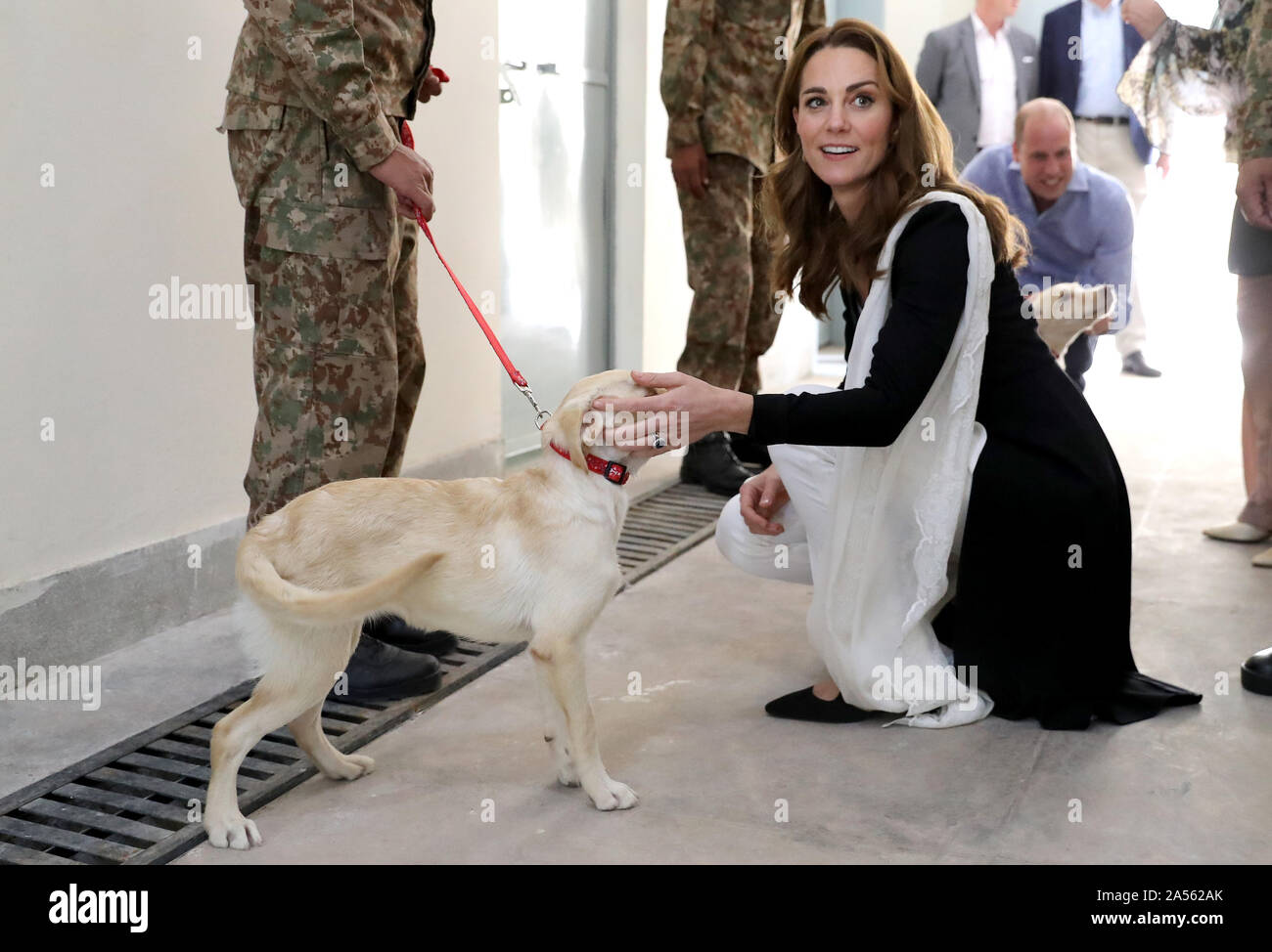 The Duchess of Cambridge, with golden labrador puppies Salto and Sky ...