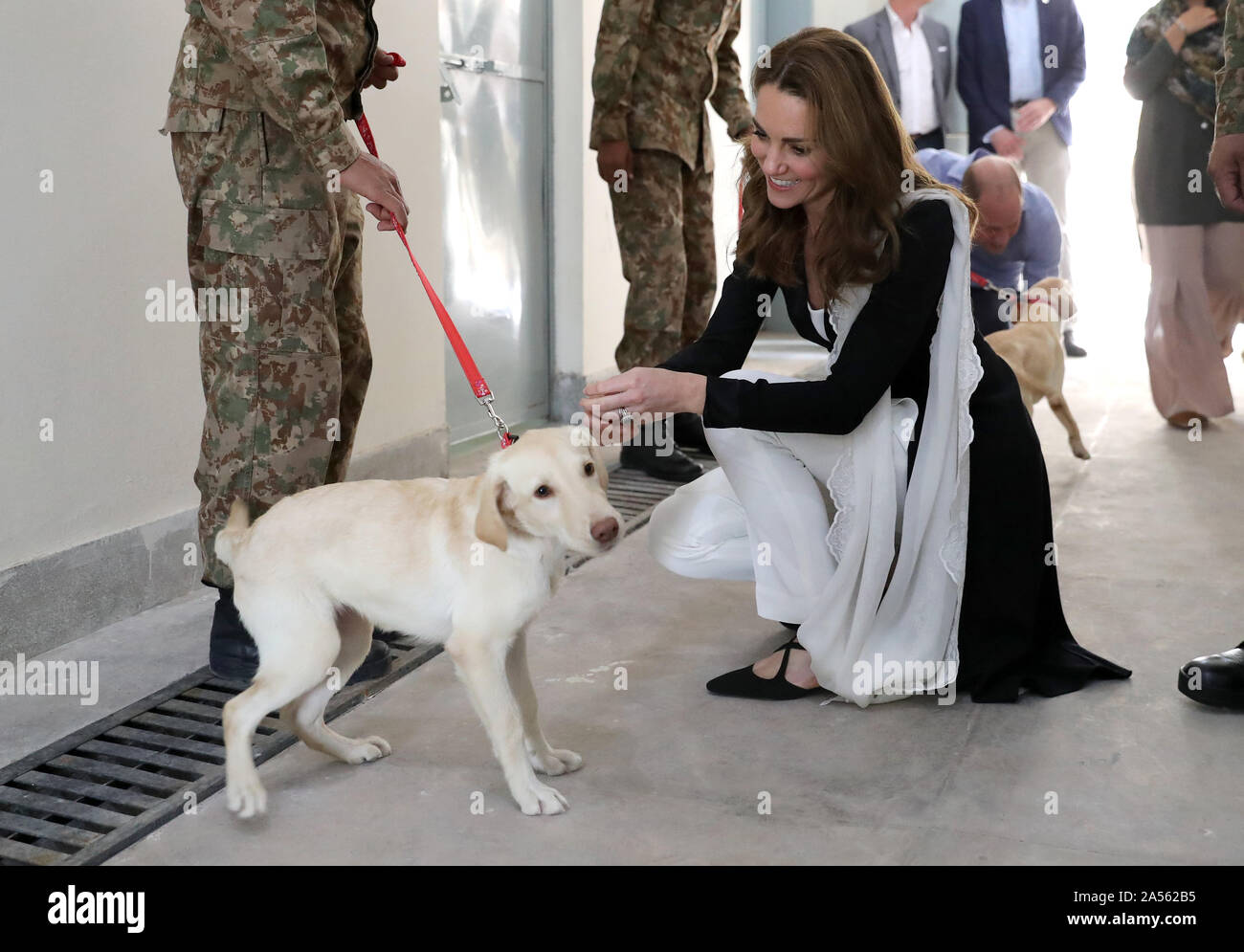 The Duchess of Cambridge, with golden labrador puppies Salto and Sky ...