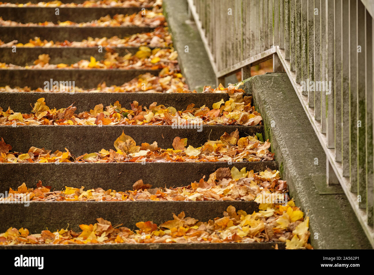 Closeup of a public staircase with metal railing in autumn covered with ...