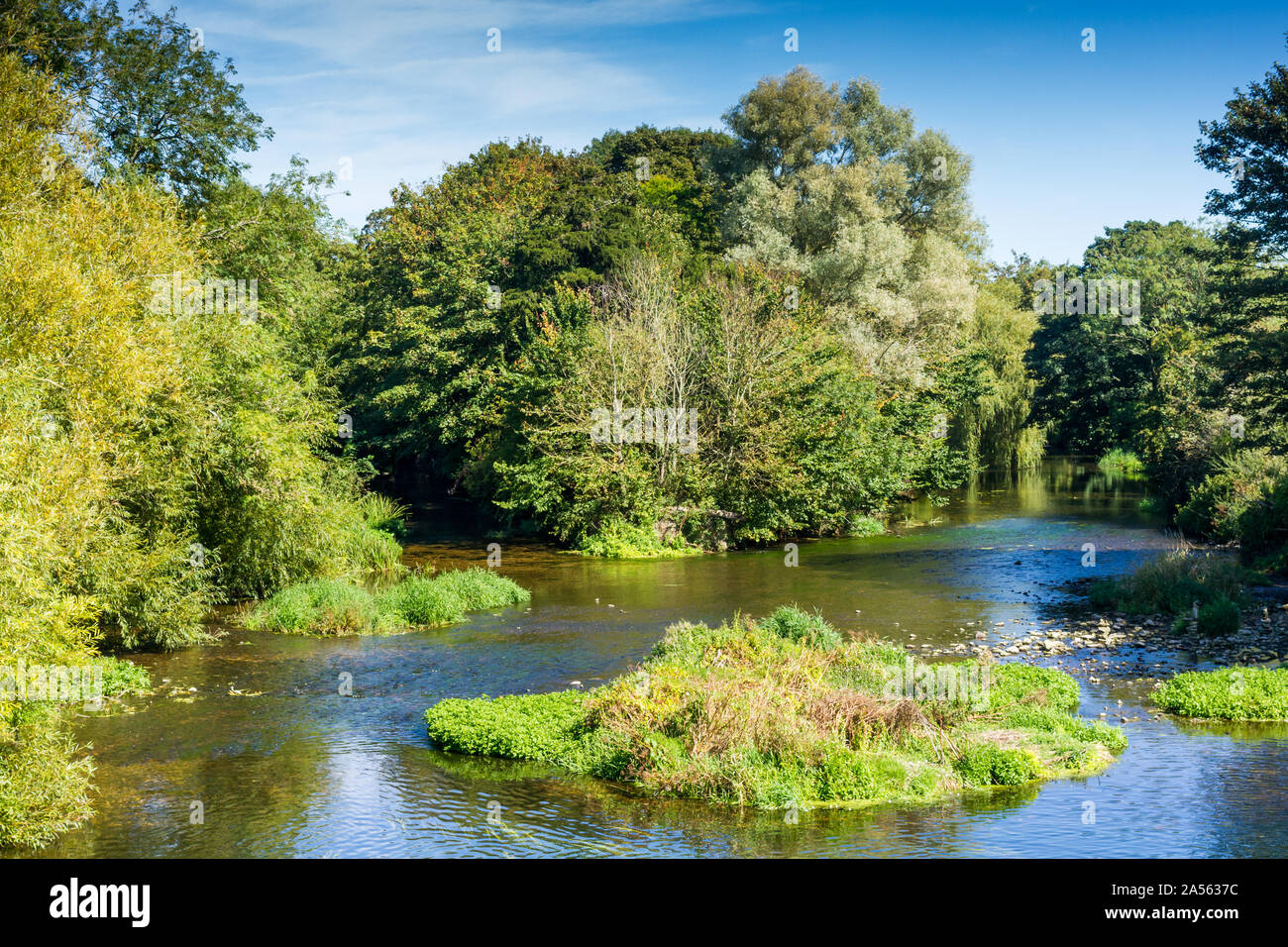 Blandford Forum Dorset High Resolution Stock Photography and Images - Alamy