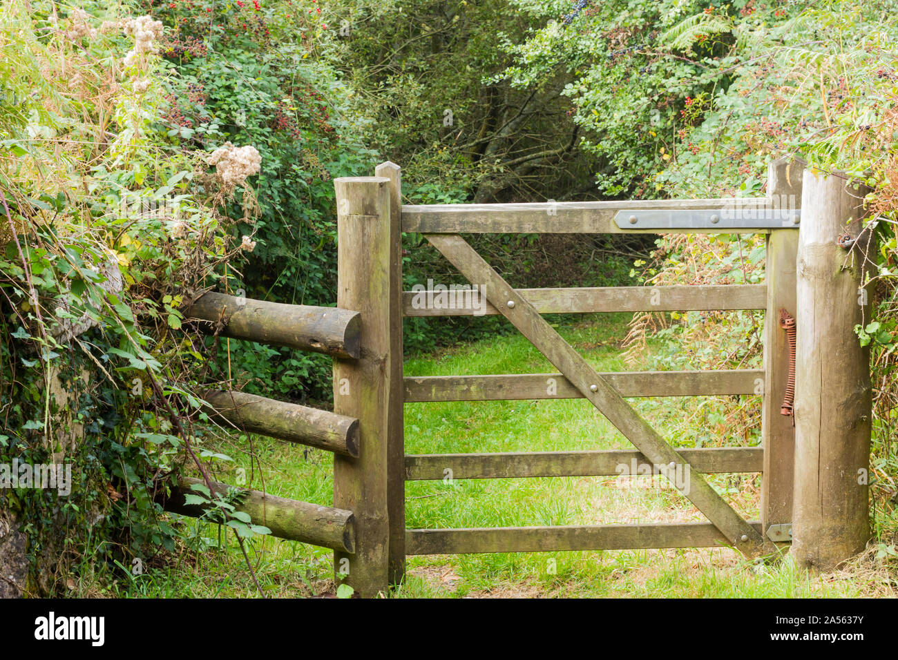 Wooden gate leading through a woodland trail. Dorset, UK Stock Photo ...