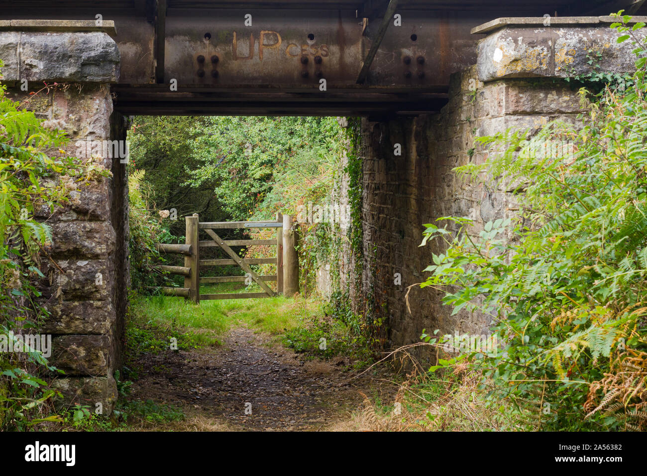 Woodland trail. View of a wooden gate through a bridge in Dorset, UK ...