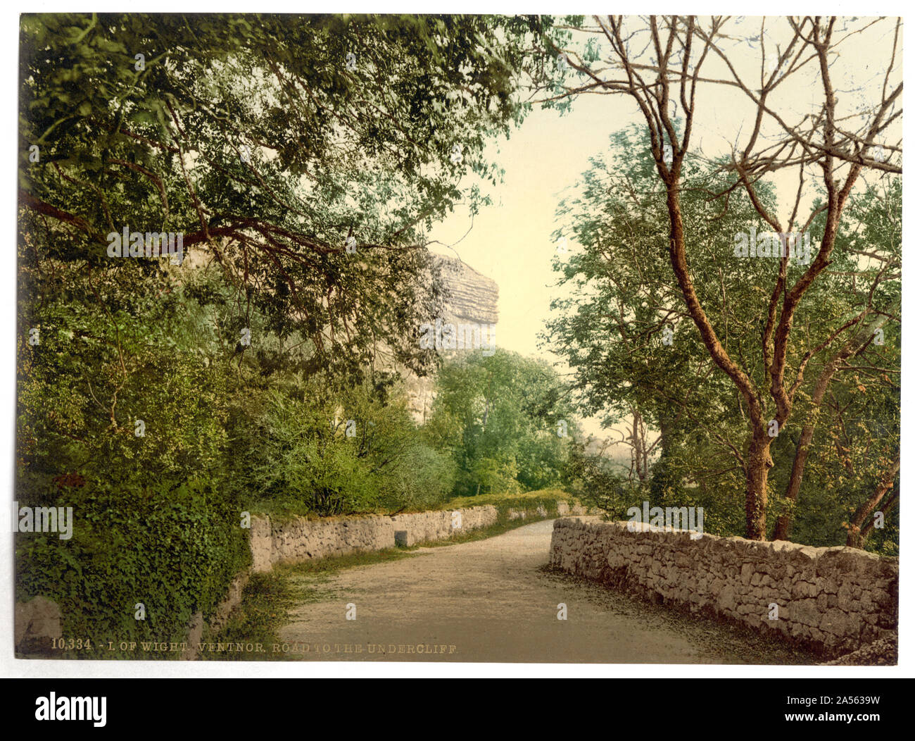 Ventnor, road to the Undercliff, Isle of Wight, England Stock Photo - Alamy