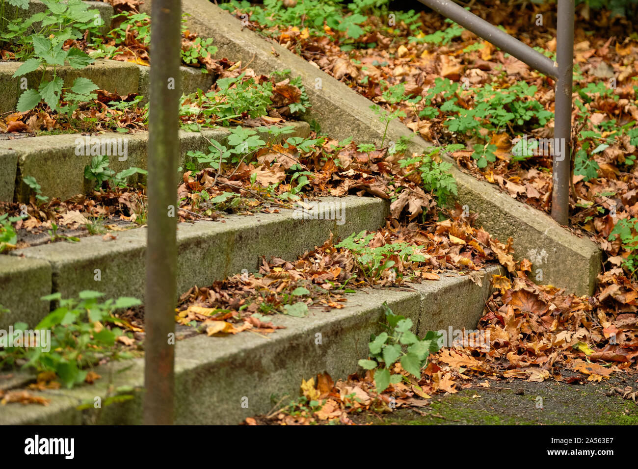 Public staircase with steel railing in autumn covered with fallen ...