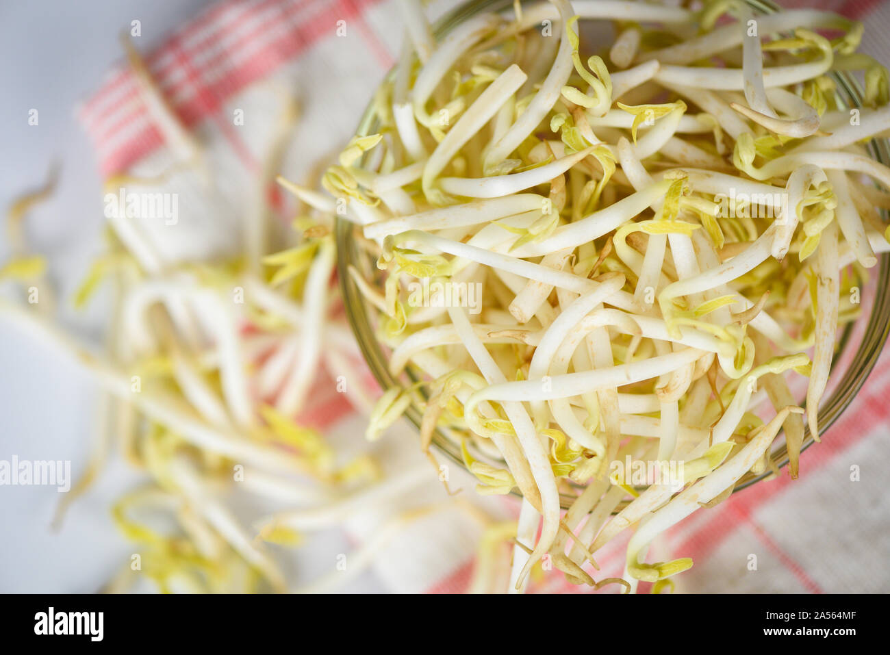 bean sprouts cup on table background / Mung bean sprout for food , top ...