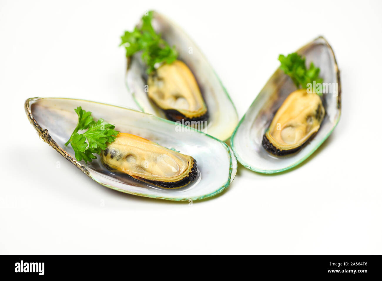 Mussels isolated on white background / Green mussel shell with parsley ...