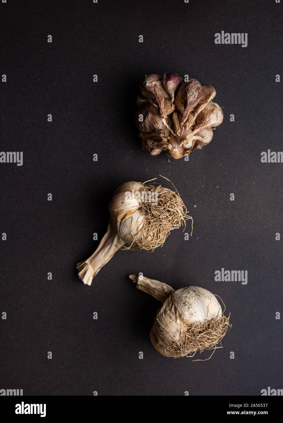 Overhead view of homegrown dried garlic Stock Photo - Alamy