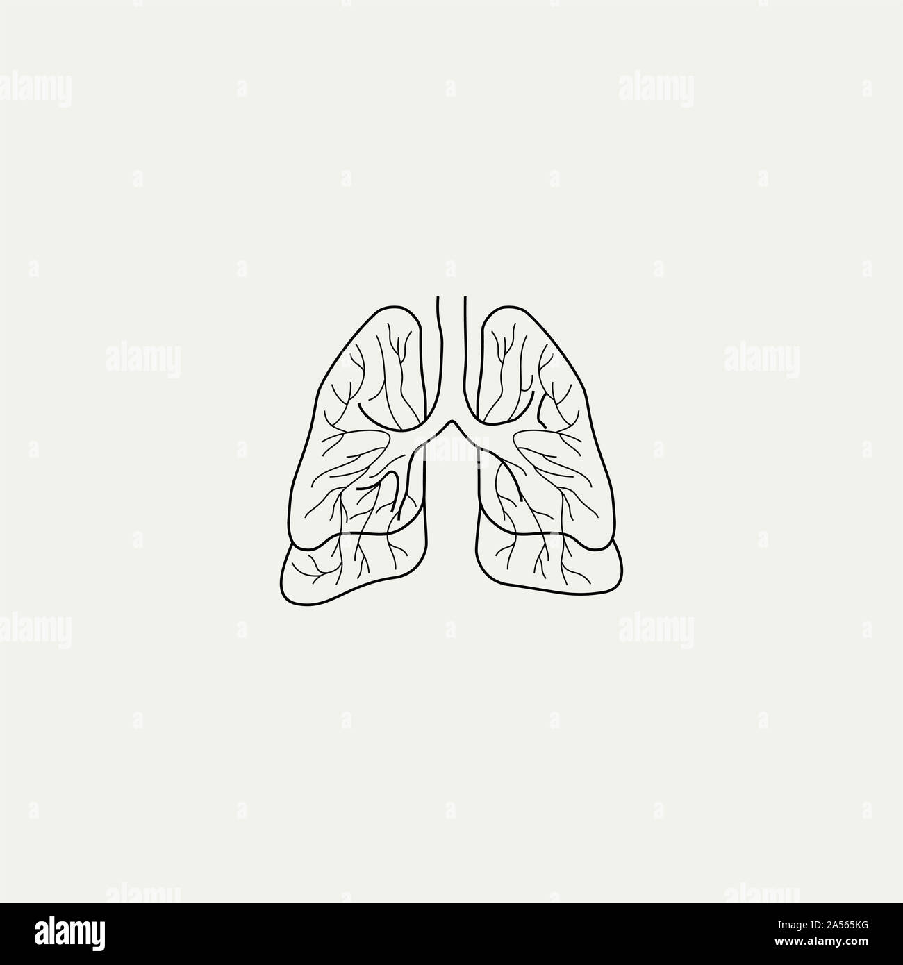 Lungs outline hi-res stock photography and images - Alamy