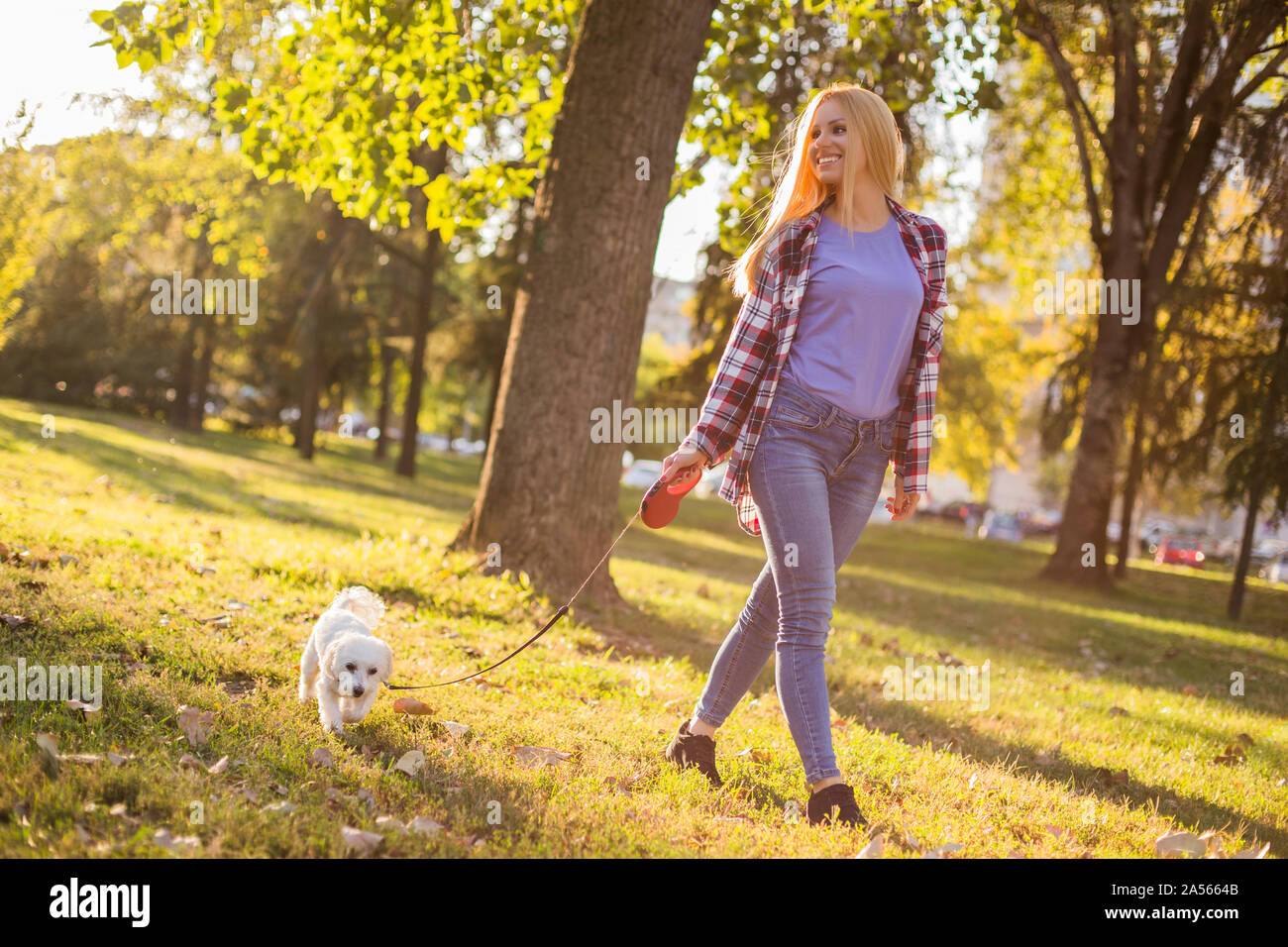 Beautiful woman walking maltese hi-res stock photography and images - Alamy