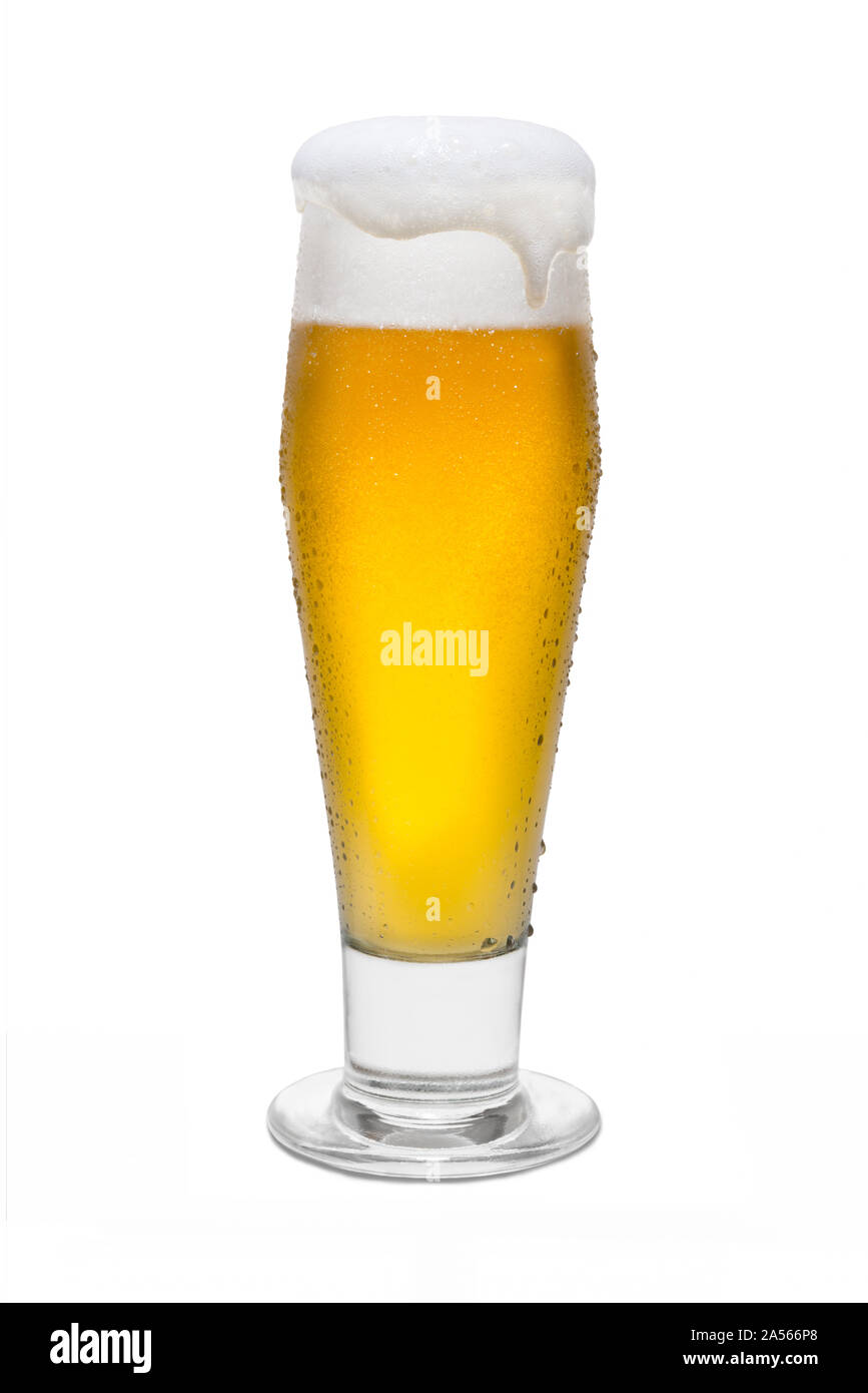 Classic Pilsner Beer with Condensation, with Foam Head and Drip Running ...