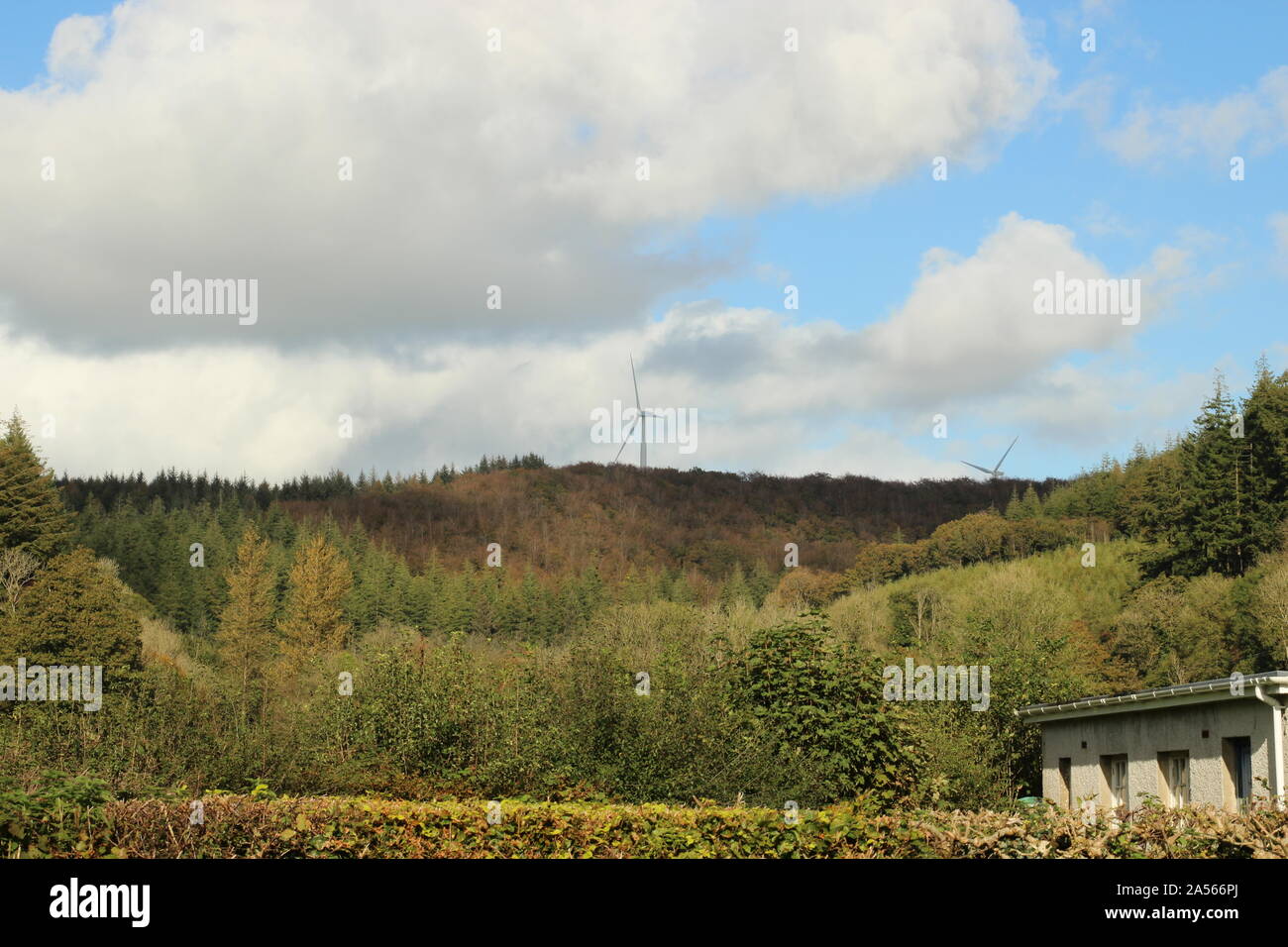 Brechfa forest wind farm hi-res stock photography and images - Alamy