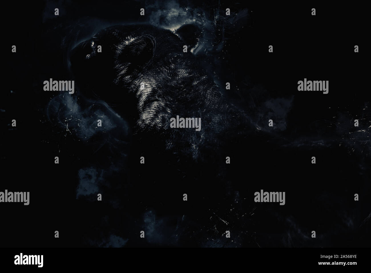 Ambush background hi-res stock photography and images - Alamy