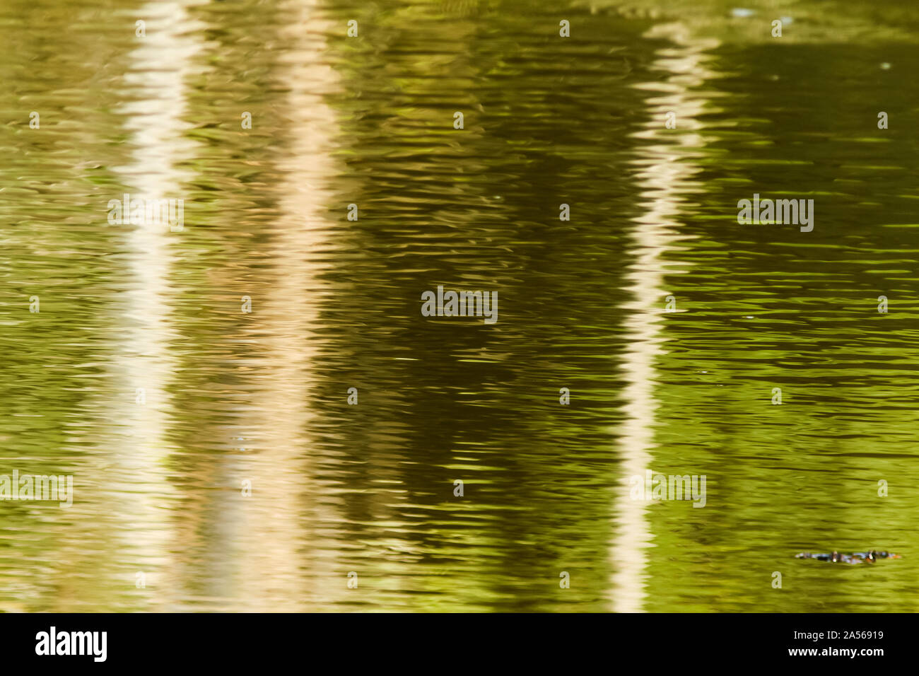 water surface reflection abstract art for background and wallpaper ...