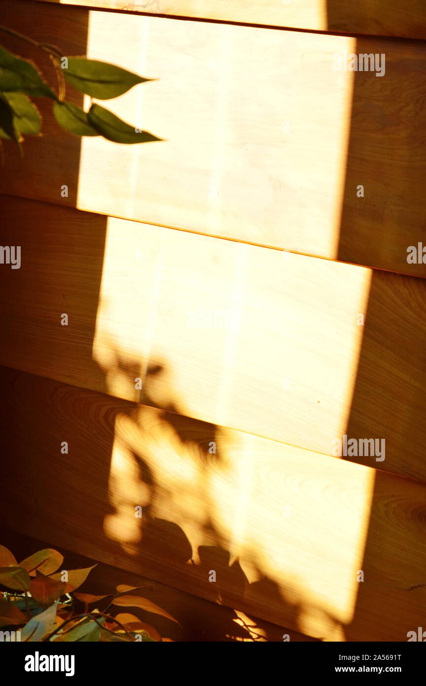Sunlight through window on wall hi-res stock photography and images - Alamy