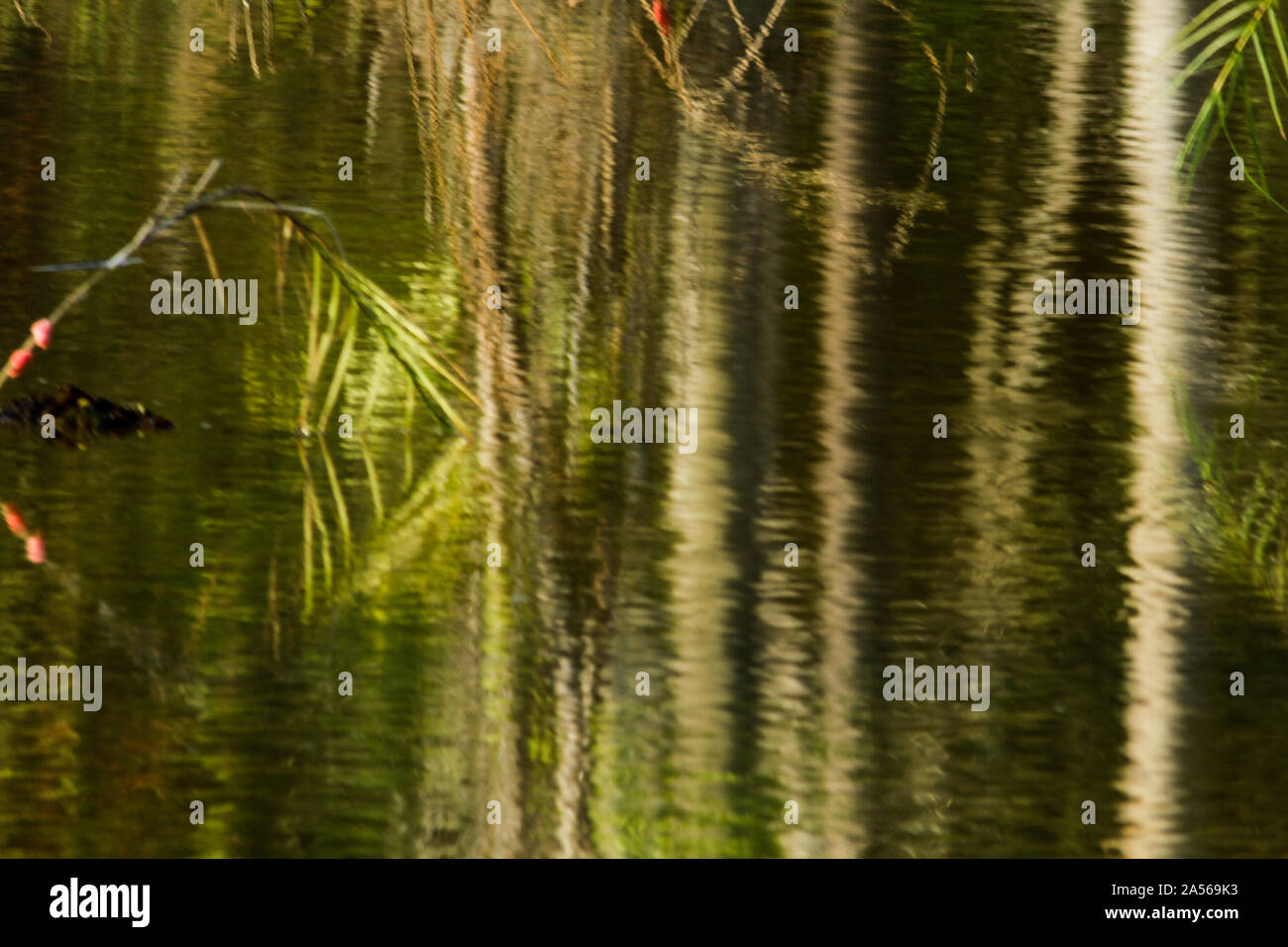water surface reflection abstract art for background and wallpaper ...