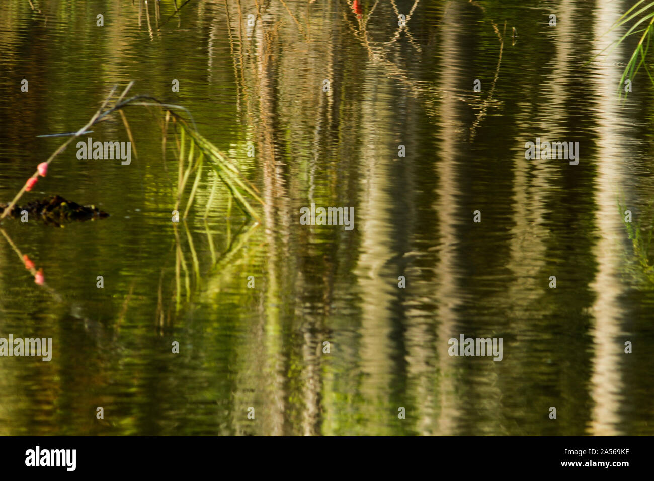 water surface reflection abstract art for background and wallpaper ...