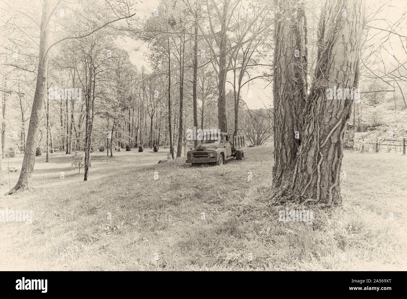 Car in a field hi-res stock photography and images - Alamy
