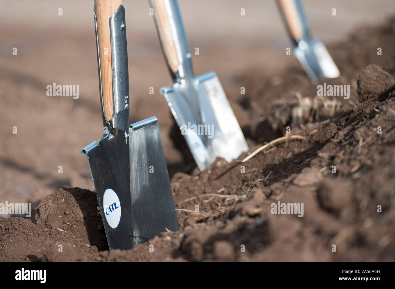 Catl germany hi-res stock photography and images - Alamy