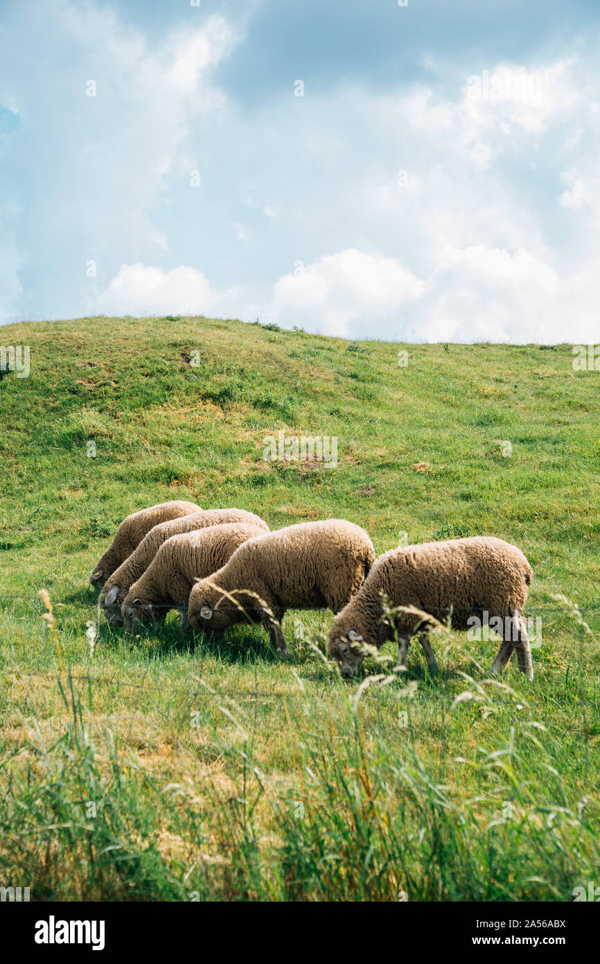 Devin field hi-res stock photography and images - Alamy