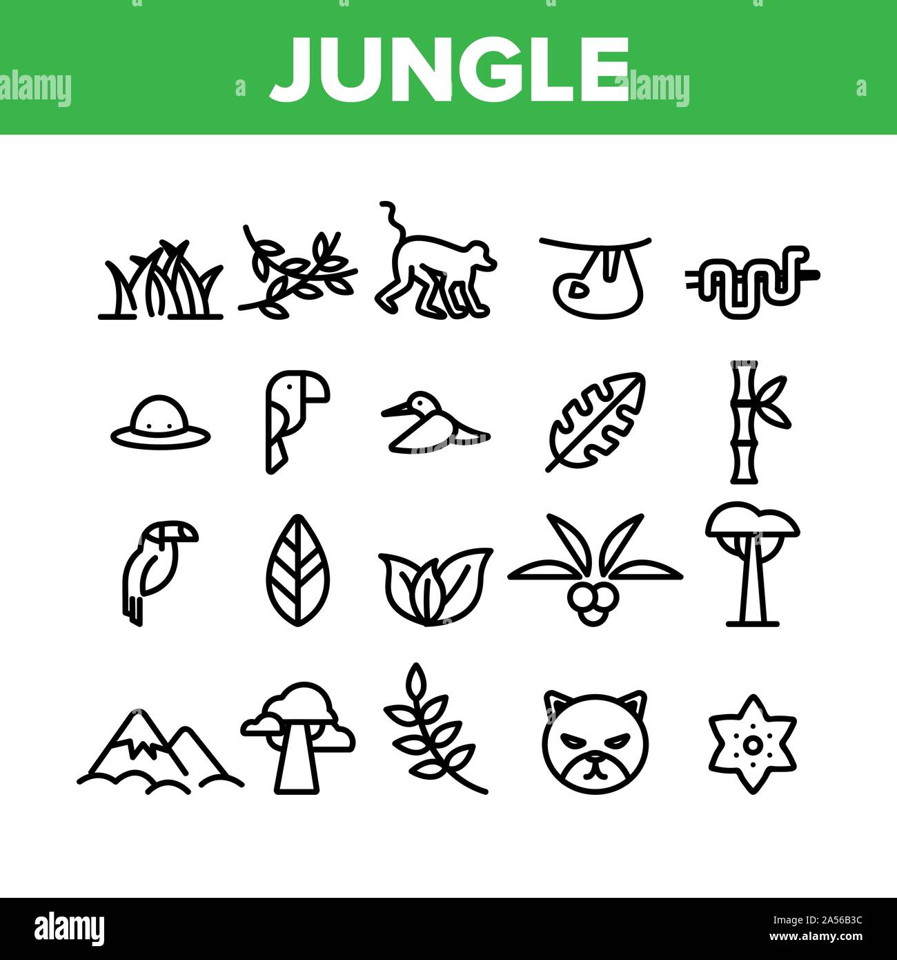 Jungle Elements Vector