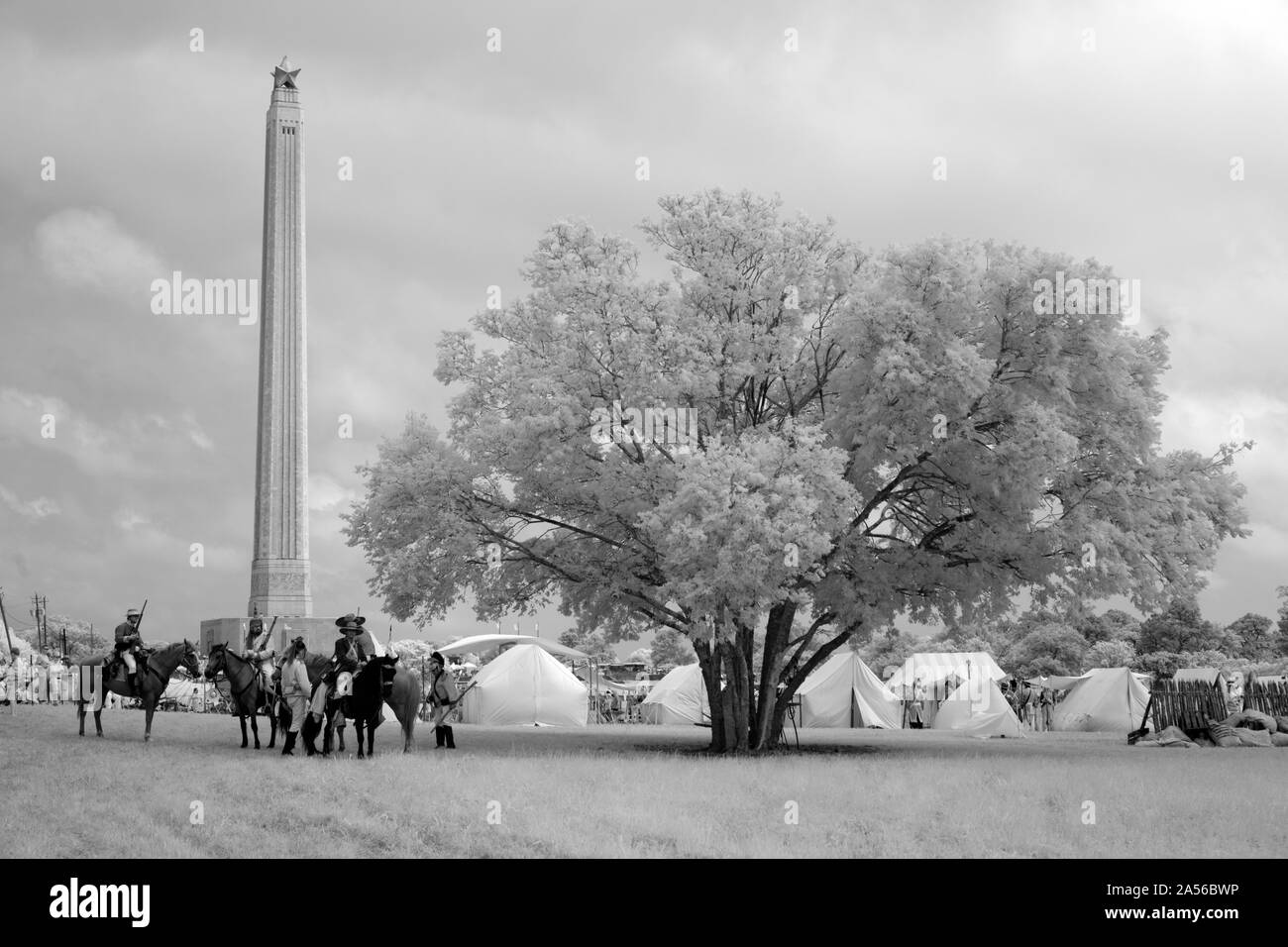 View from the Mexican encampment at the annual Battle of San Jacinto ...
