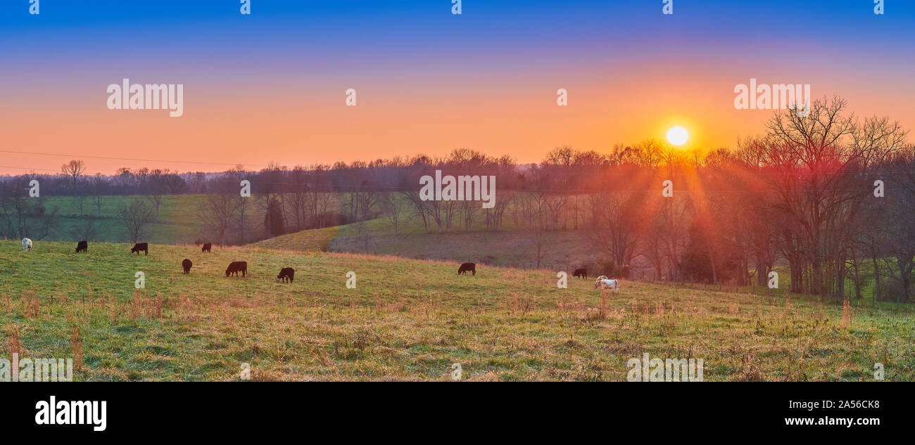 Farm meadow november sunset hi-res stock photography and images - Alamy