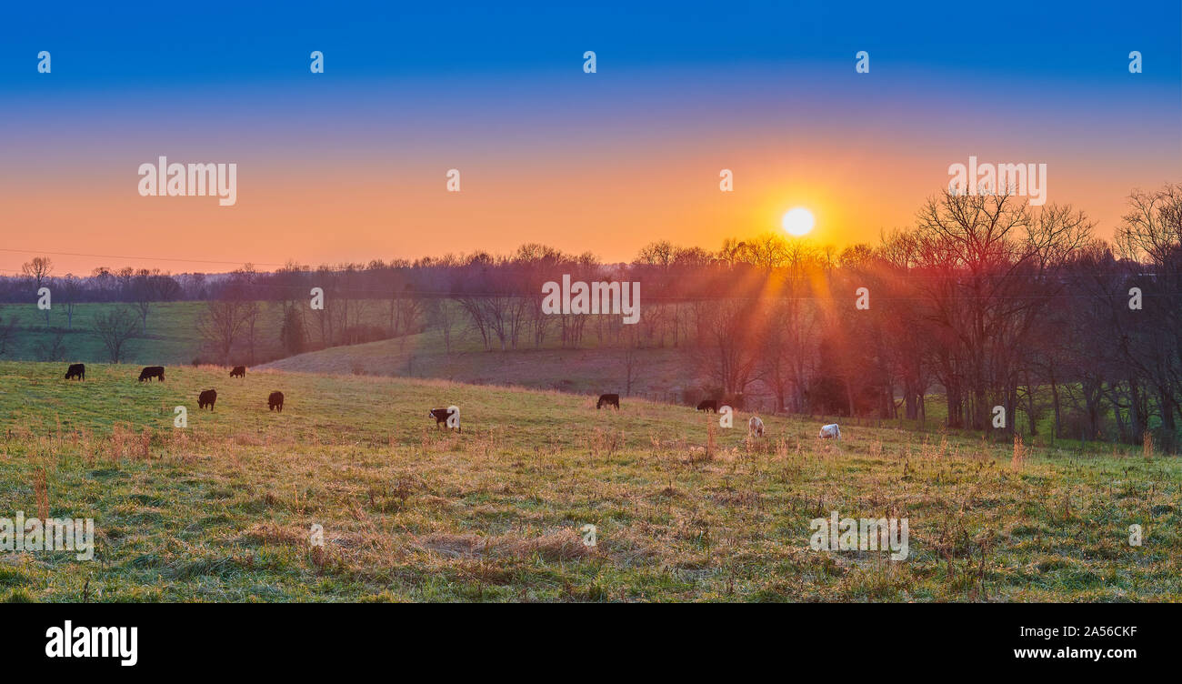 Farm meadow november sunset hi-res stock photography and images - Alamy