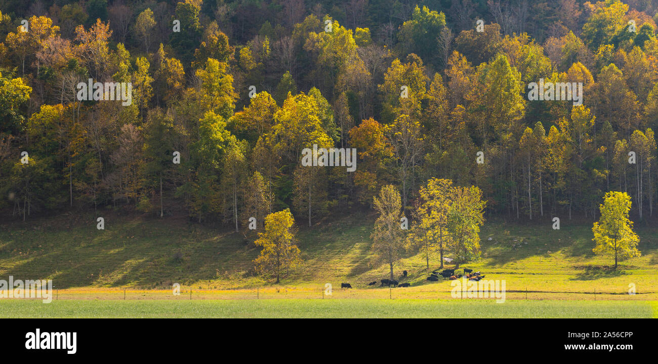 Indian hills kentucky hi-res stock photography and images - Alamy