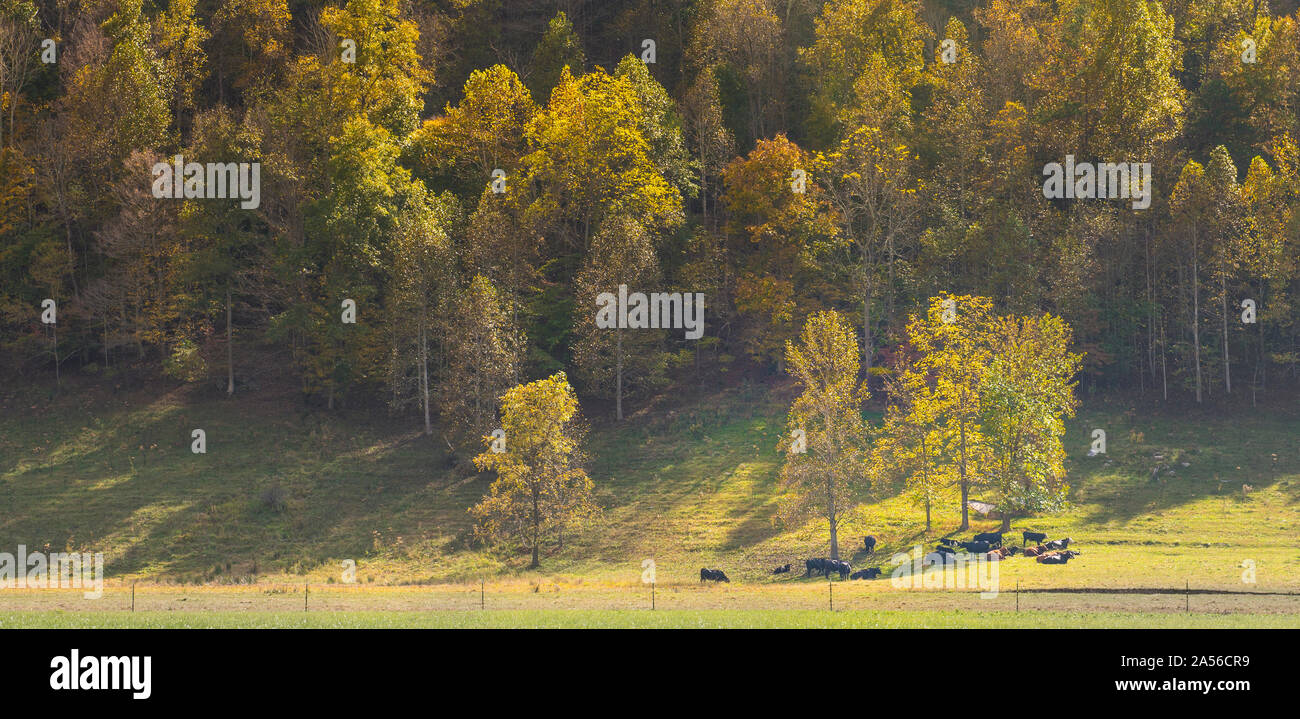Indian hills kentucky hi-res stock photography and images - Alamy
