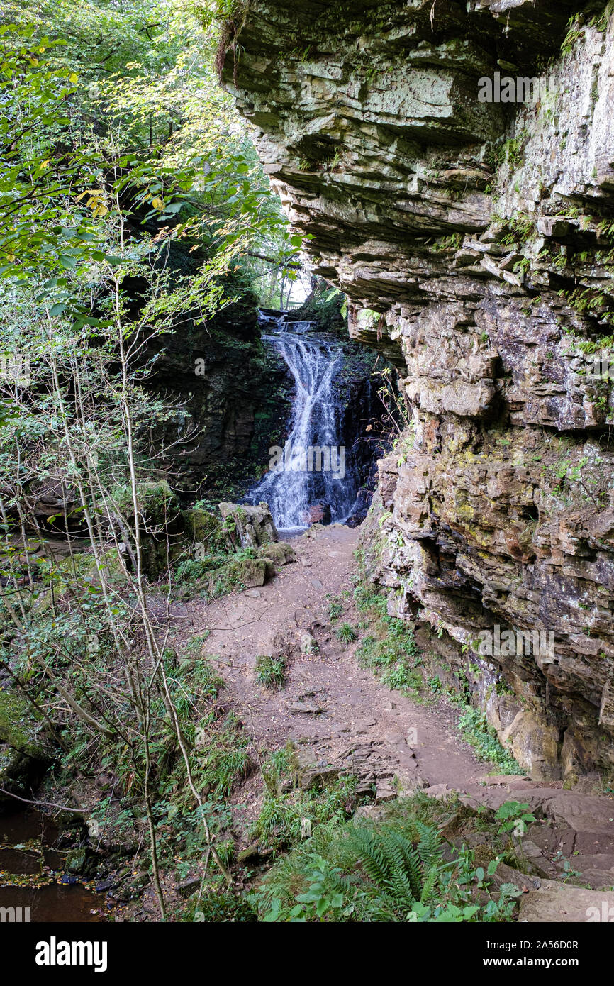 Harweshaw Linn waterfall, Northumberland, UK Stock Photo - Alamy