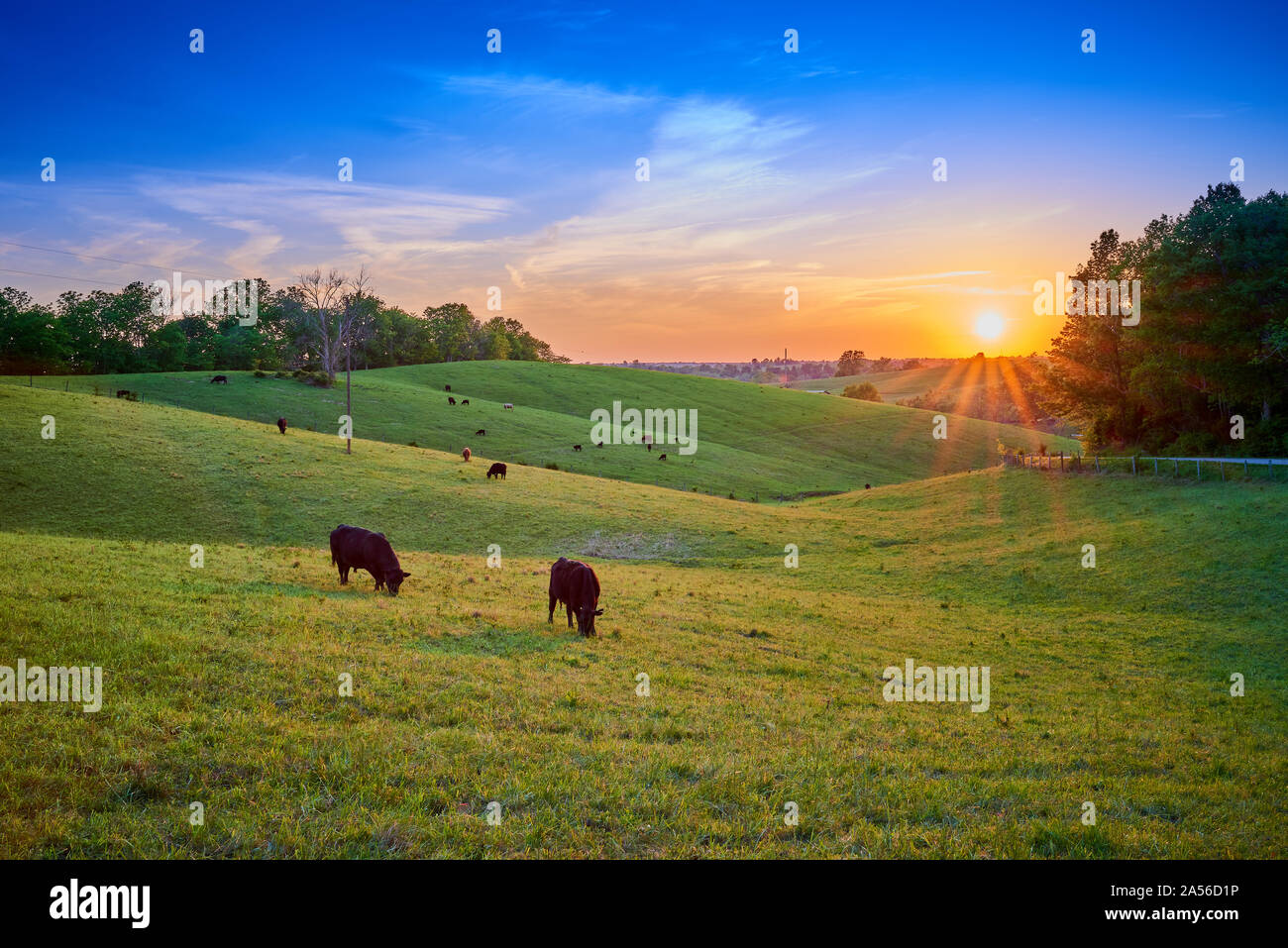 Pastoral sunset hi-res stock photography and images - Alamy