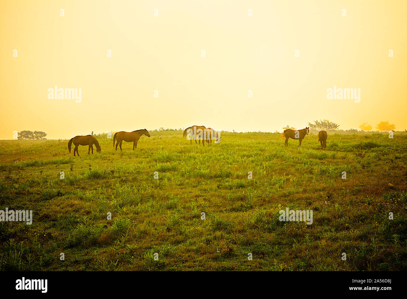 Early farm kentucky hi-res stock photography and images - Alamy