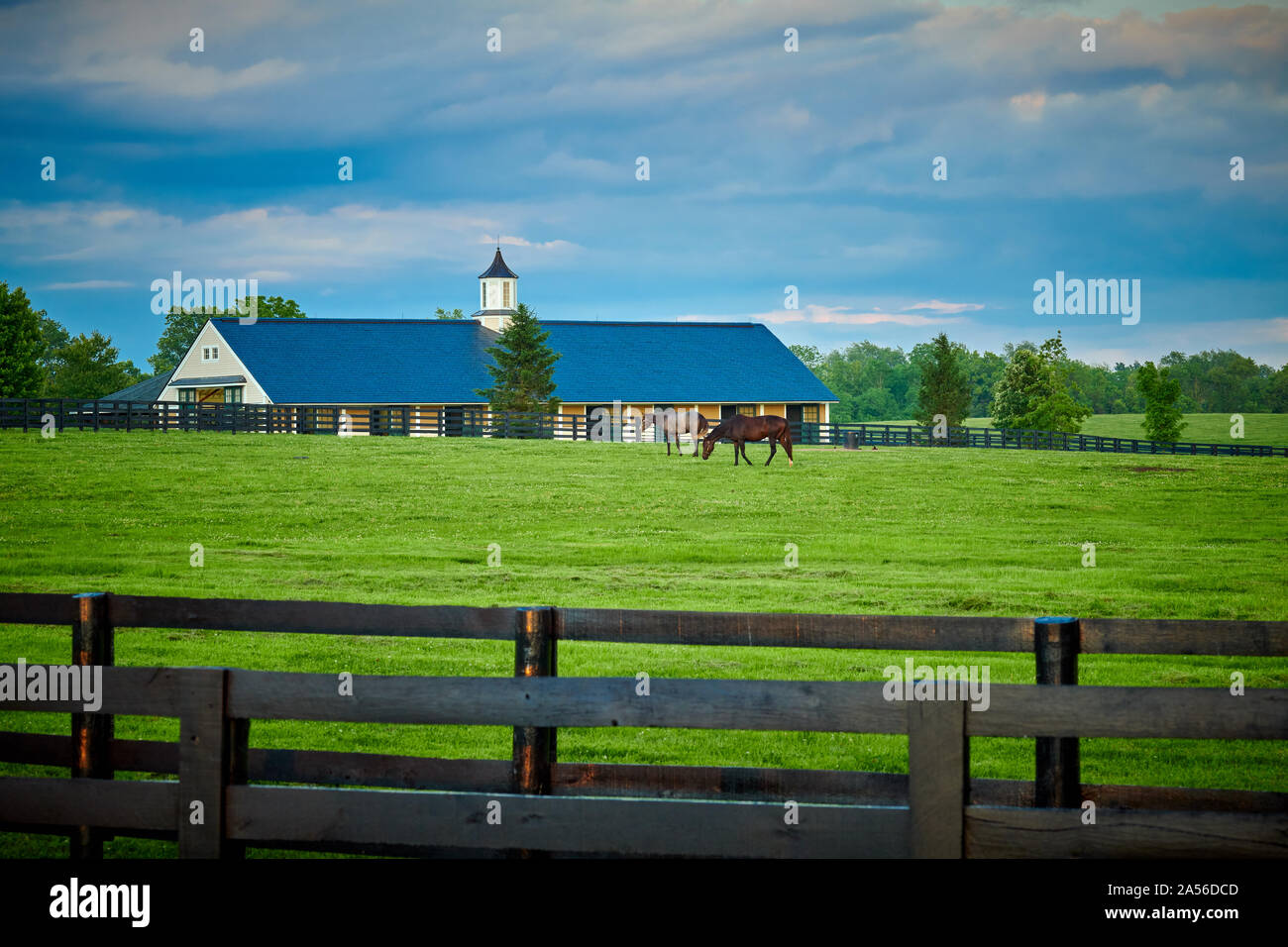 Horse Barn Background