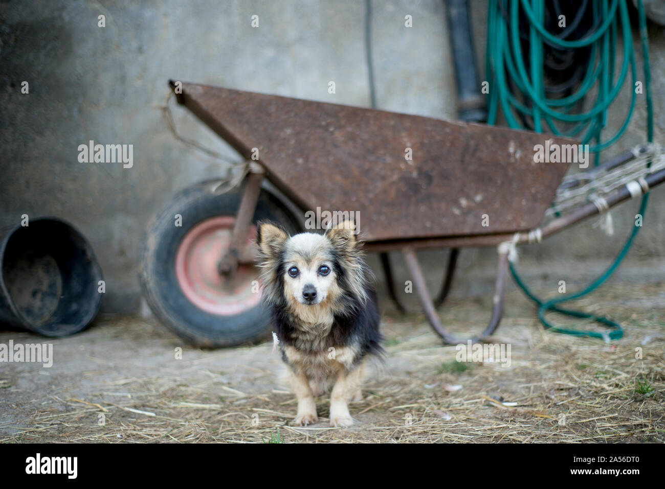 Ranch open space hi-res stock photography and images - Alamy