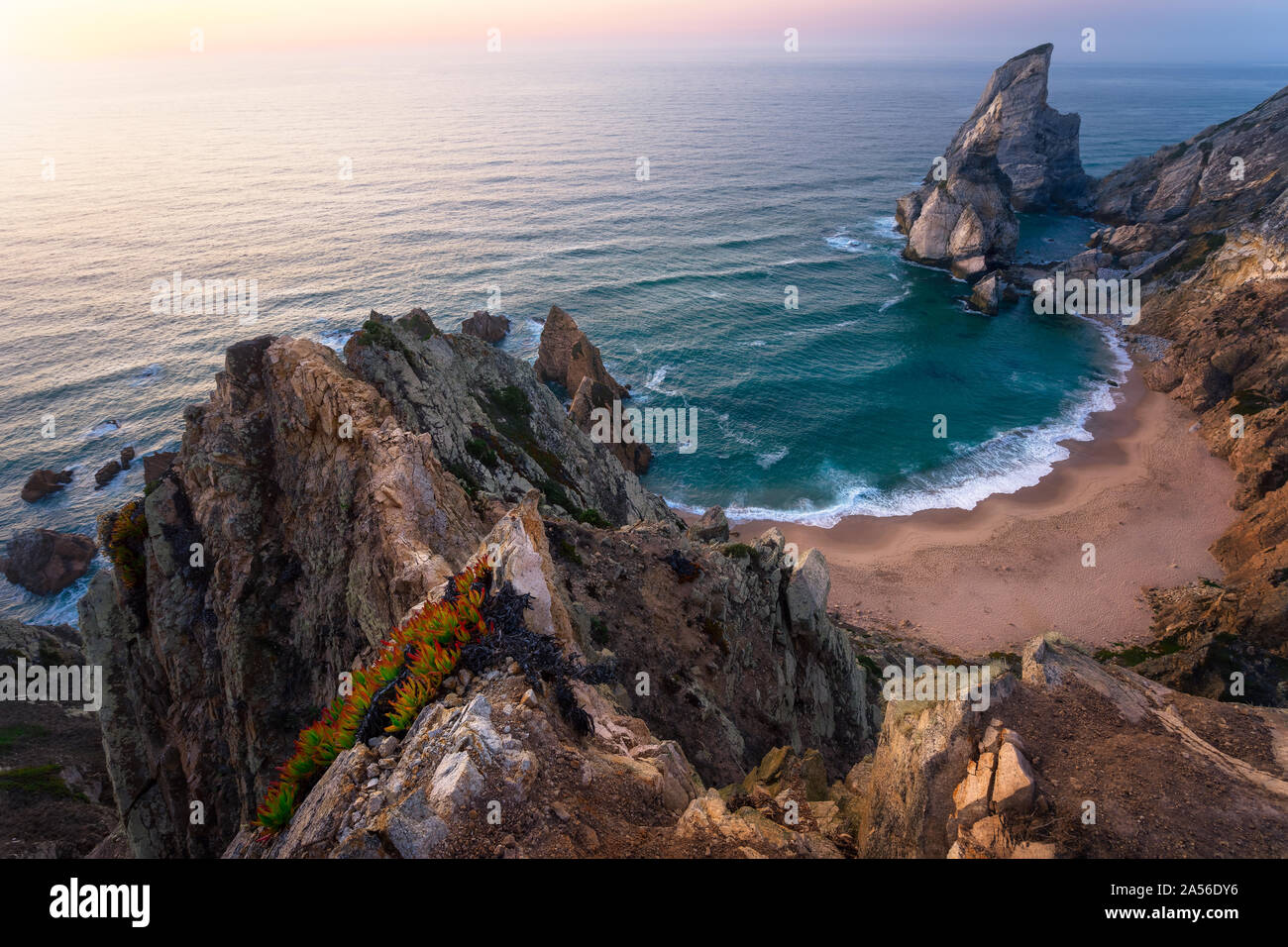 Praia da Ursa Beach from above. Rocky foreground with yellow flowers in ...