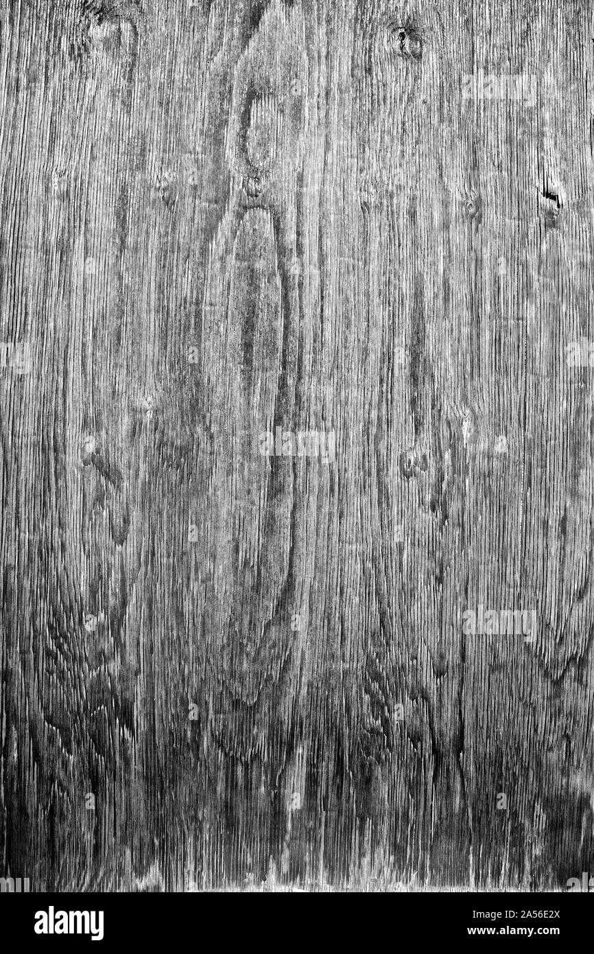 Weathered textured plywood panel with wood grain Stock Photo - Alamy