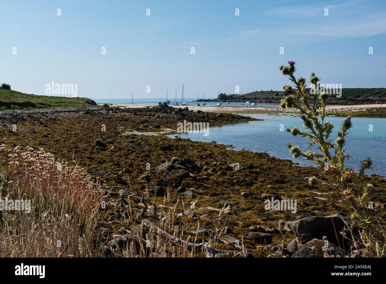 The Bar between Gugh and St Agnes, Isles of Scilly Stock Photo - Alamy