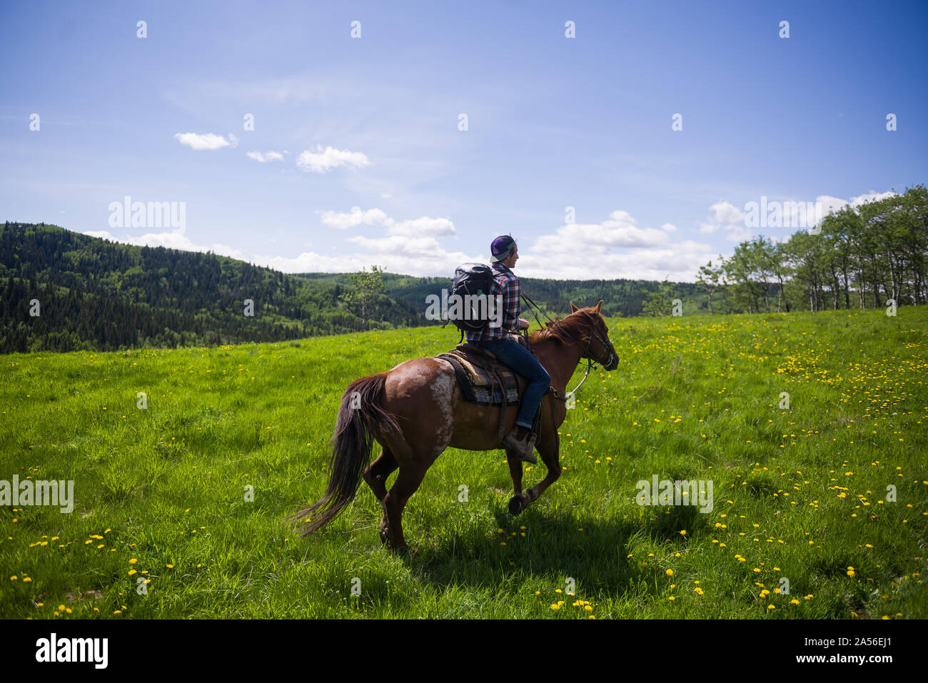 Person riding on horseback away hi-res stock photography and images - Alamy