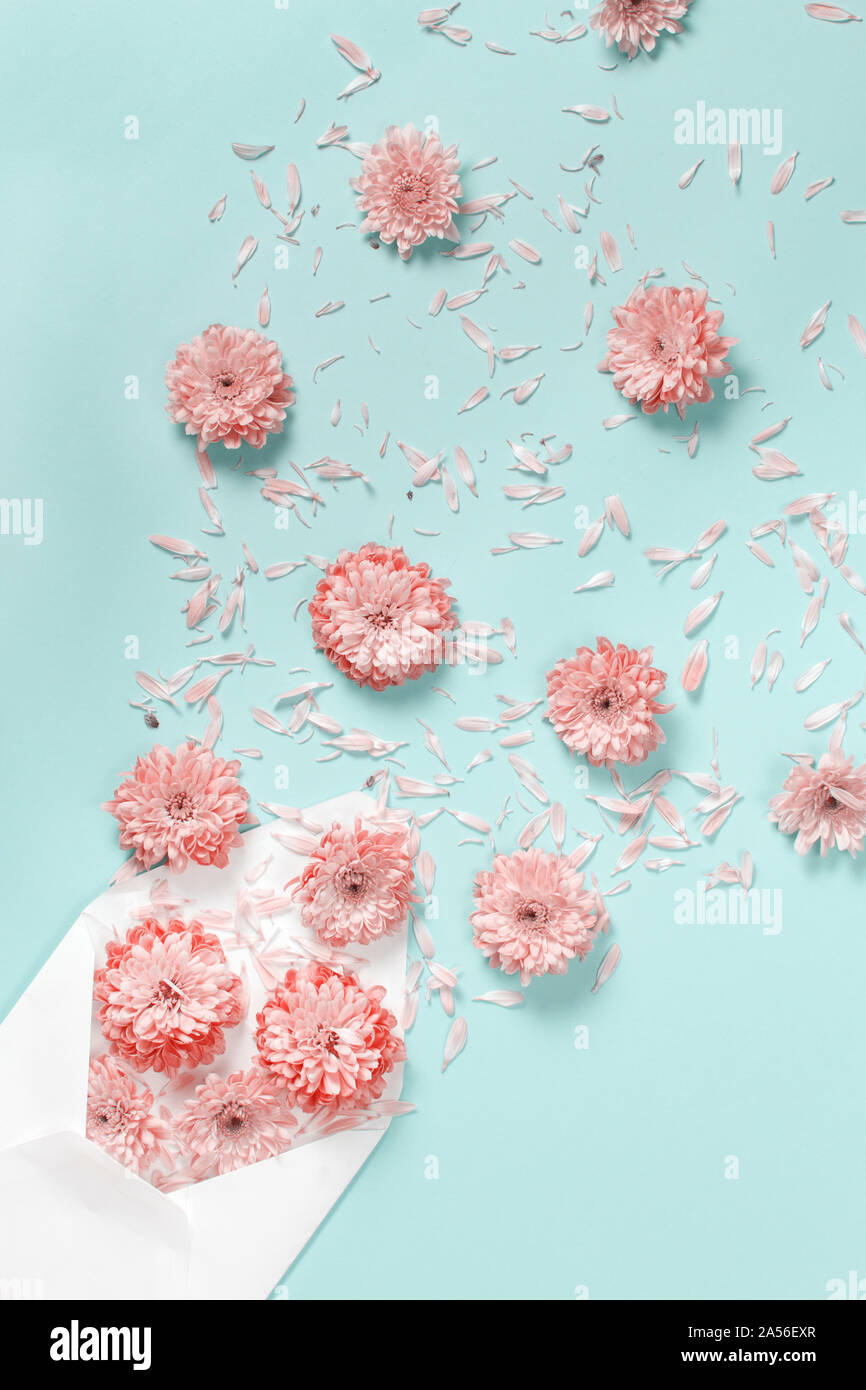 Envelope with flowers and petals on a pastel background Stock Photo - Alamy