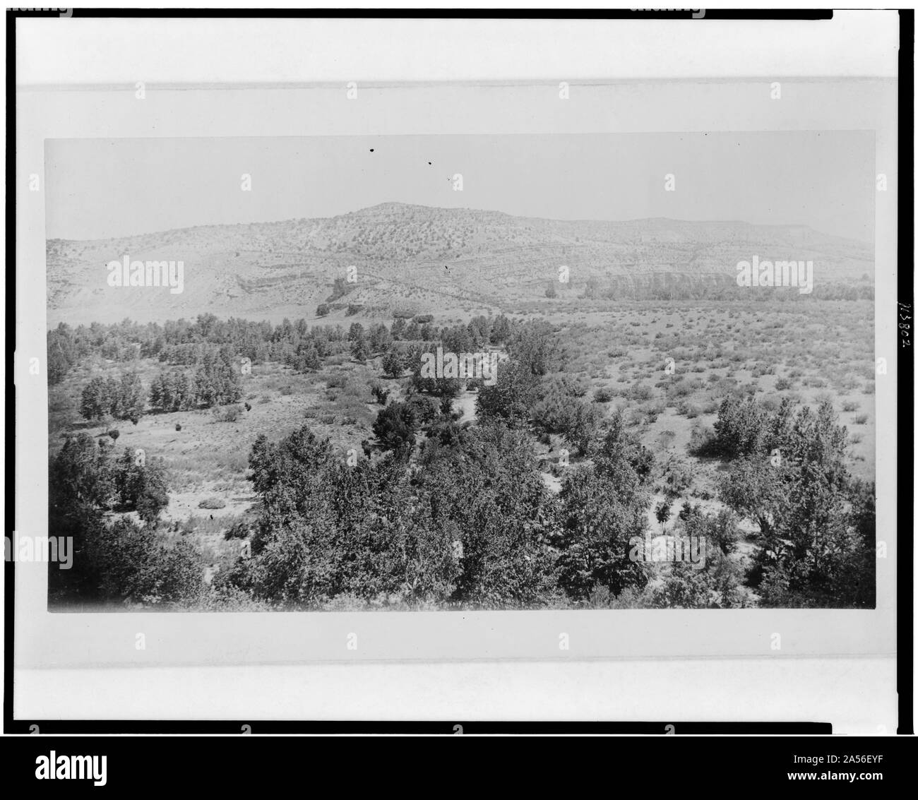 Ancient castle view from Cut Out Stock Images & Pictures - Alamy