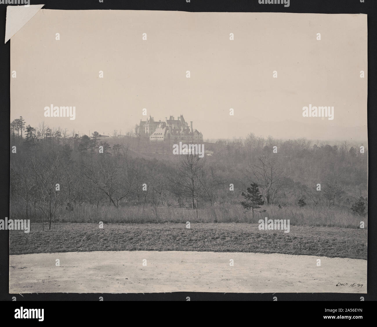 Biltmore estate forest view hi-res stock photography and images - Alamy