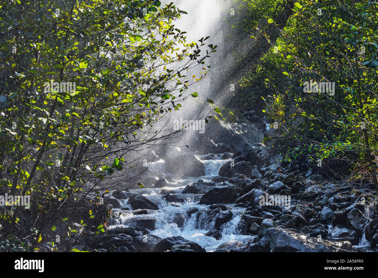 Dust sunbeam hi-res stock photography and images - Alamy