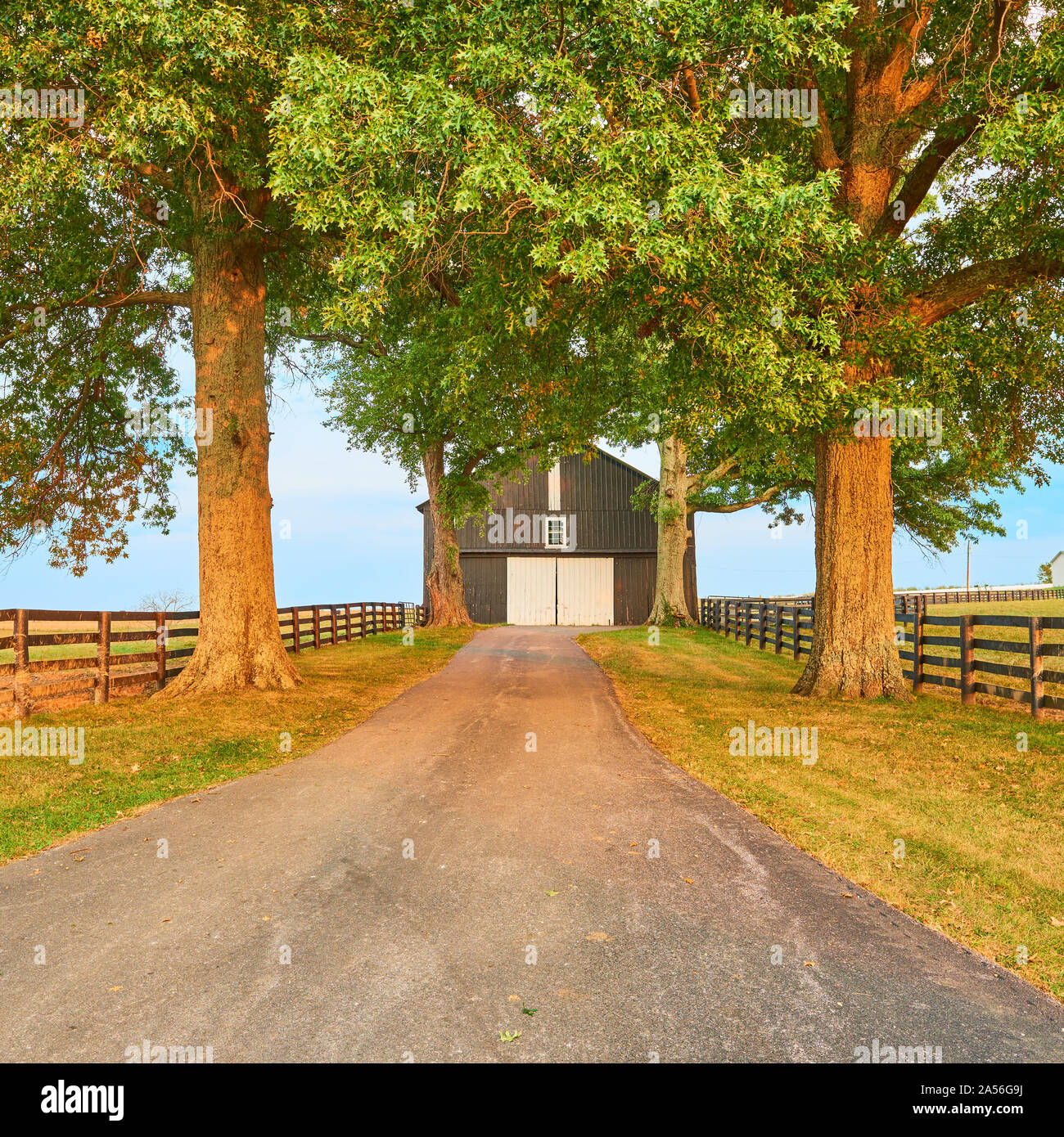 Black barn hi-res stock photography and images - Alamy