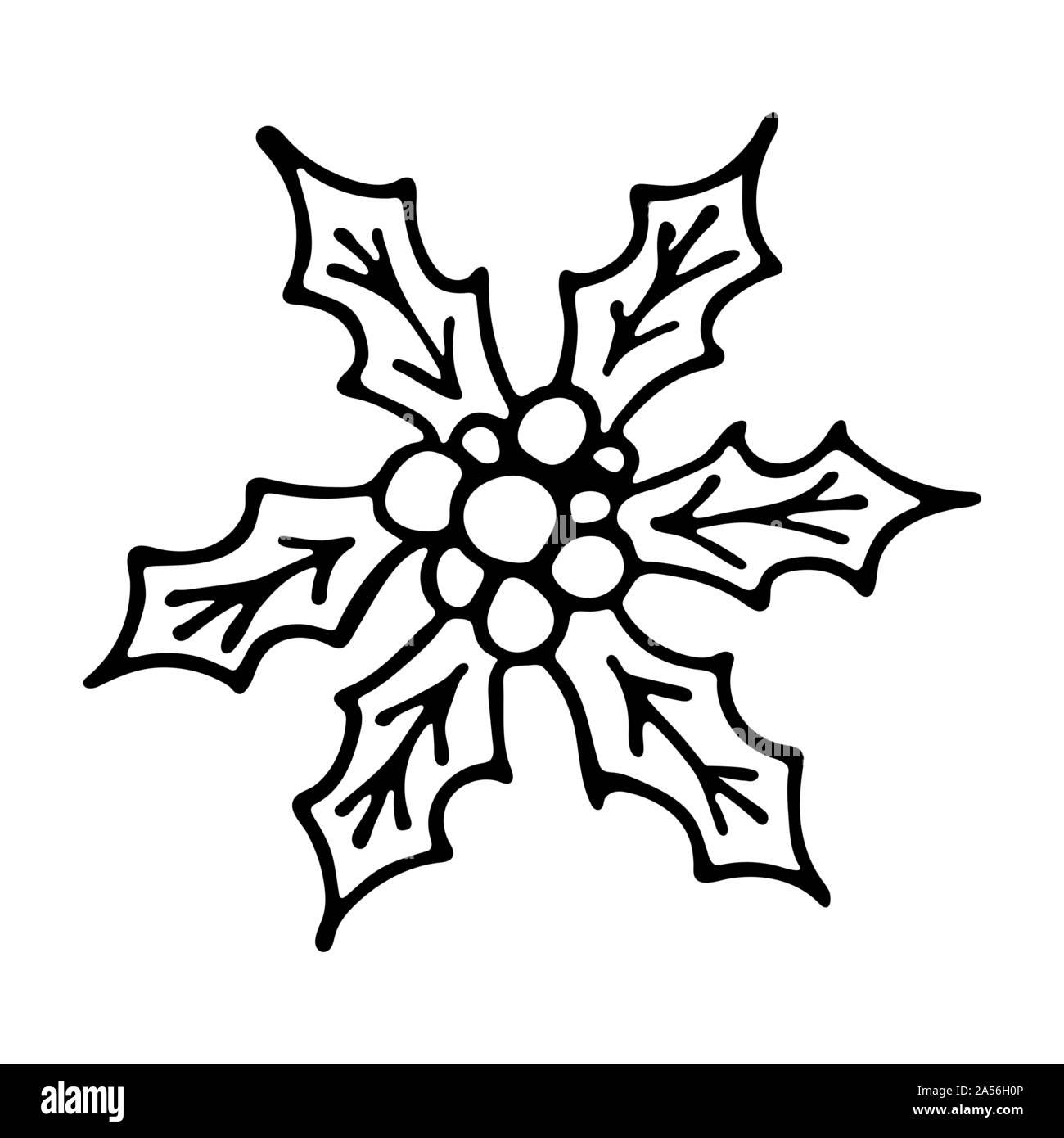 Vector hand drawn outline illustration of Christmas holly berry. Black ...