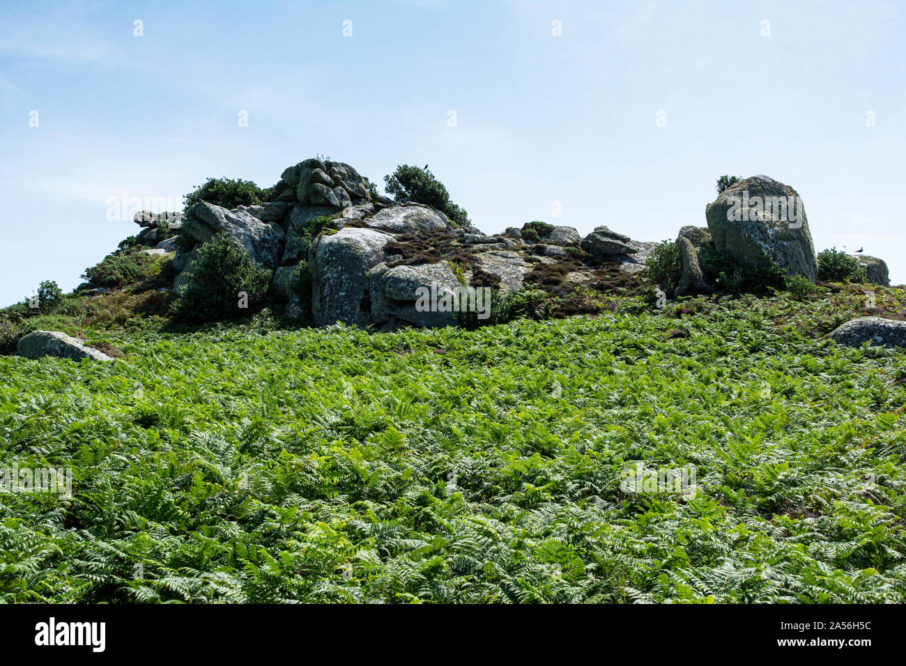 A rocky outcrop on Gugh, Isles of Scilly Stock Photo - Alamy