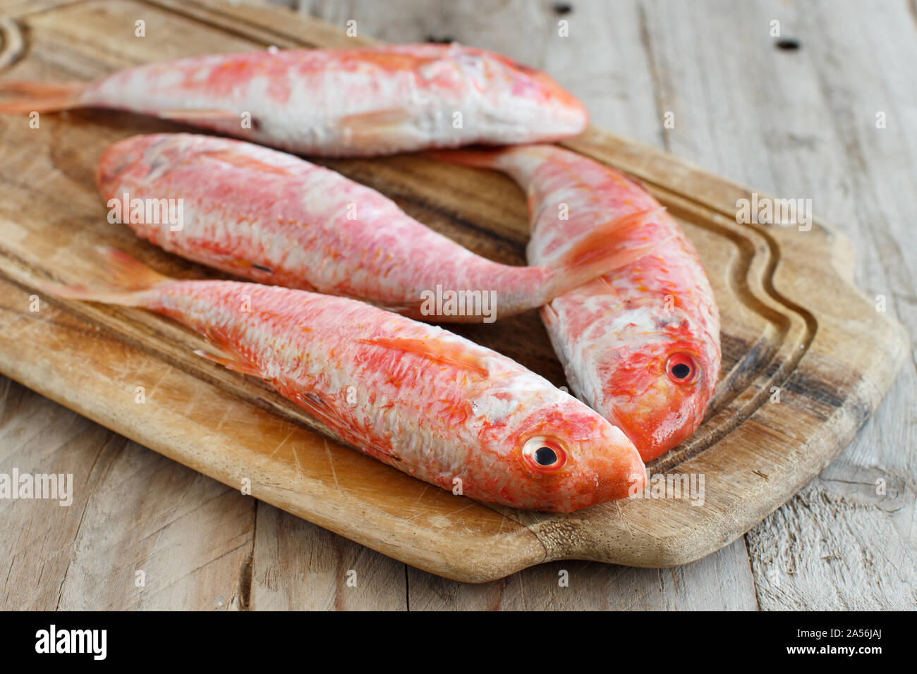 Fresh raw surmullet fish hi-res stock photography and images - Alamy